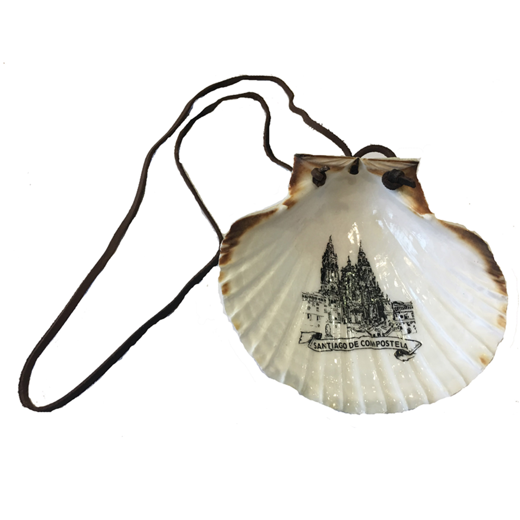 Vieira - Concha del Peregrino cordón de cuero